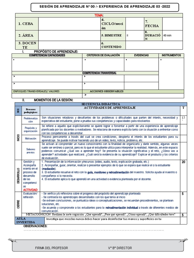Modelo de La Sesión Eba | PDF | Evaluación | Aprendizaje