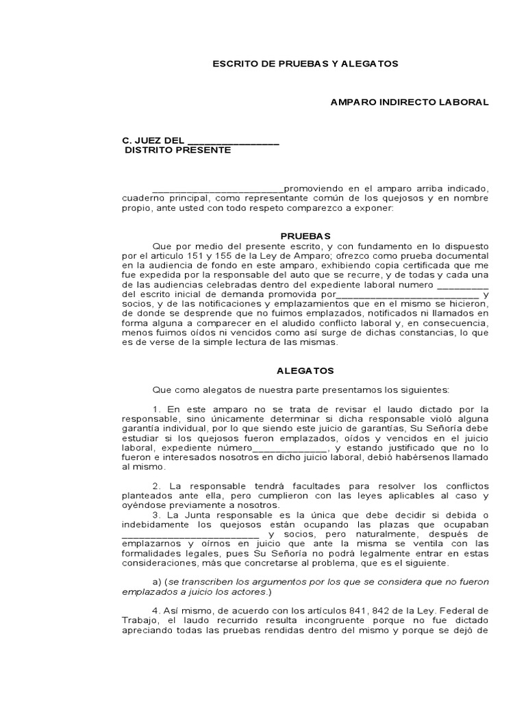 Ejemplo De Escrito De Pruebas Y Alegatos