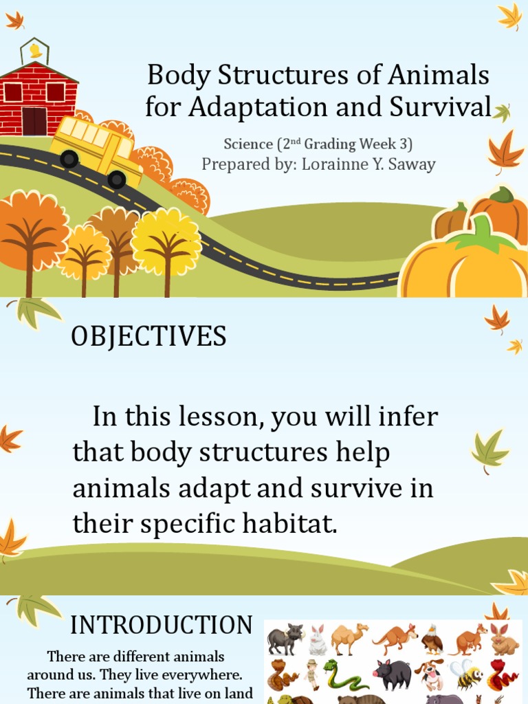 Animal Body Structures for Survival | PDF | Bears | Habitat