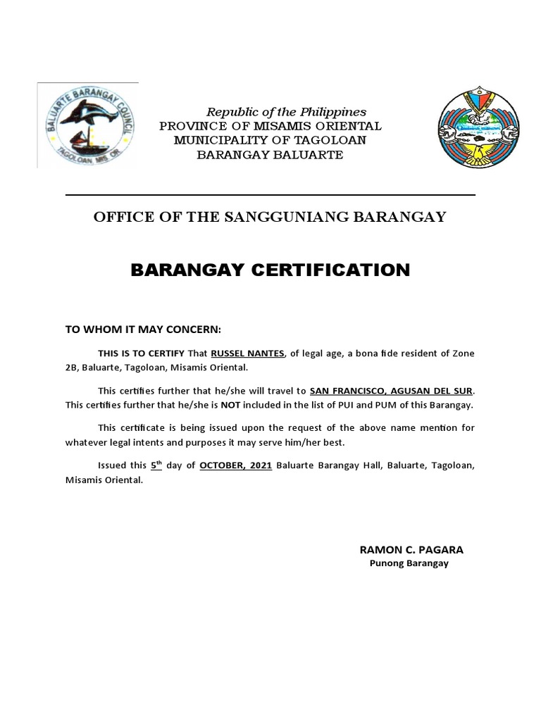 Travel Pass Certification | PDF