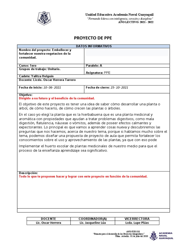 Proyecto de Ppe 2021 Lic - Oscar H T | PDF | Modificación de comportamiento | Cognición