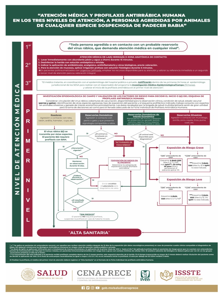Algoritmo-Rabia Humana-2020 | PDF