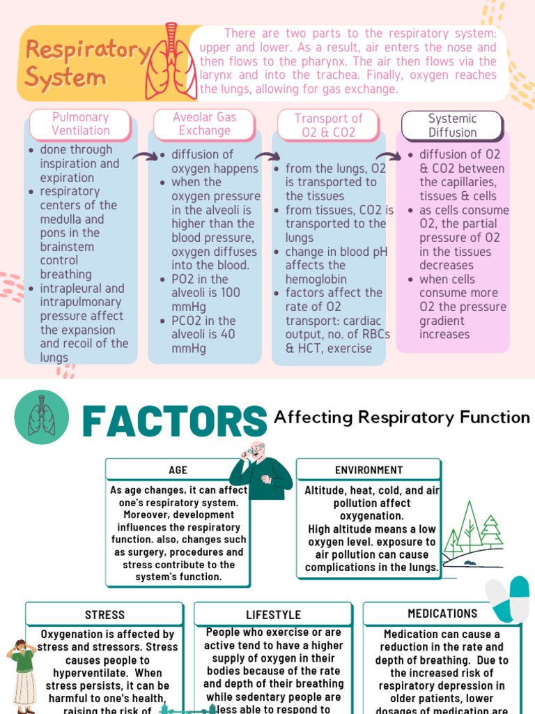 Concept Map - Oxygenation | PDF | Respiratory System | Lung