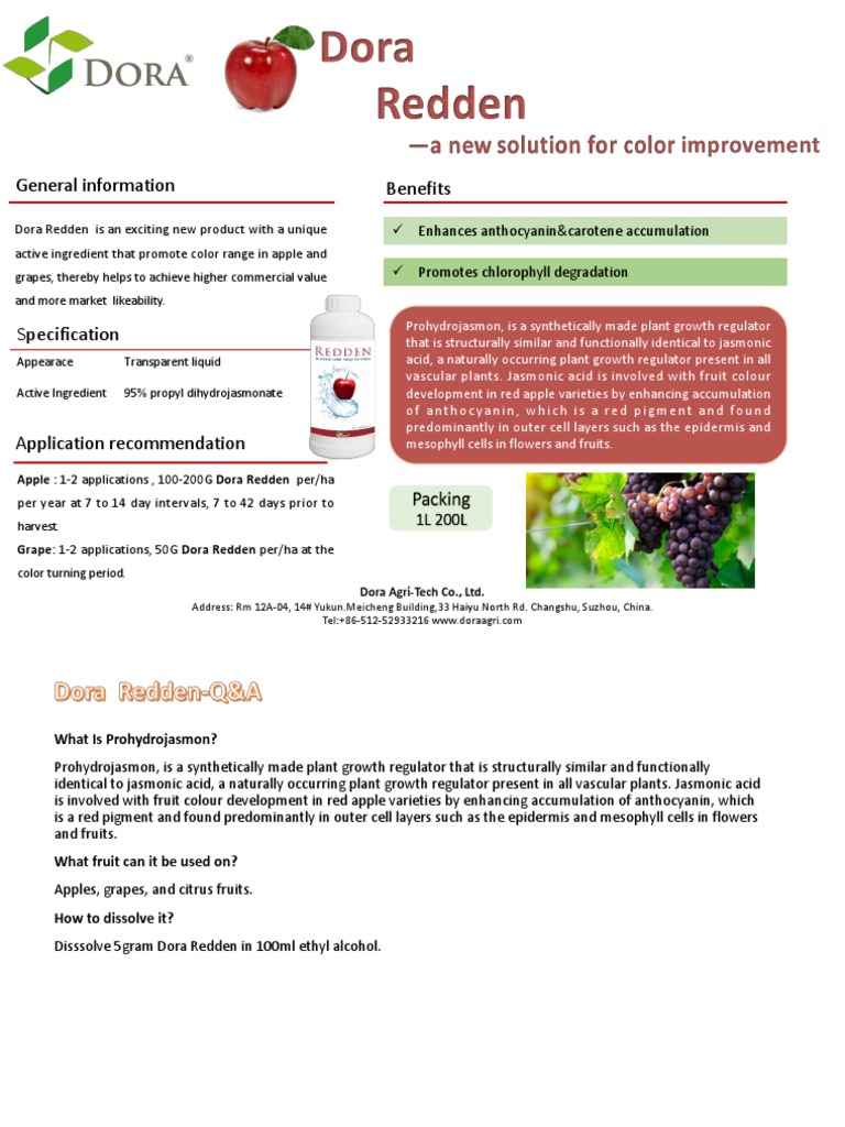 Dora Redden Introduction | PDF | Vitis | Grape