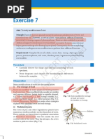 Covo Rugare Gold PLUS | PDF | Fertilizer | Seed