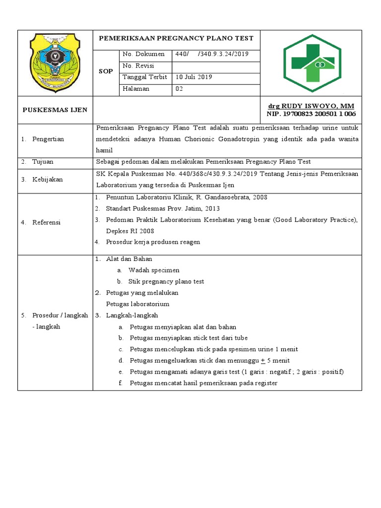 Pemeriksaan Pregnancy Plano Test | PDF