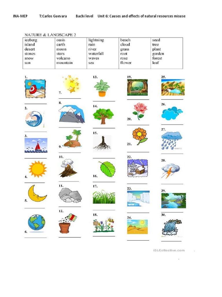 Causes and Effects of Resource Misuse | PDF