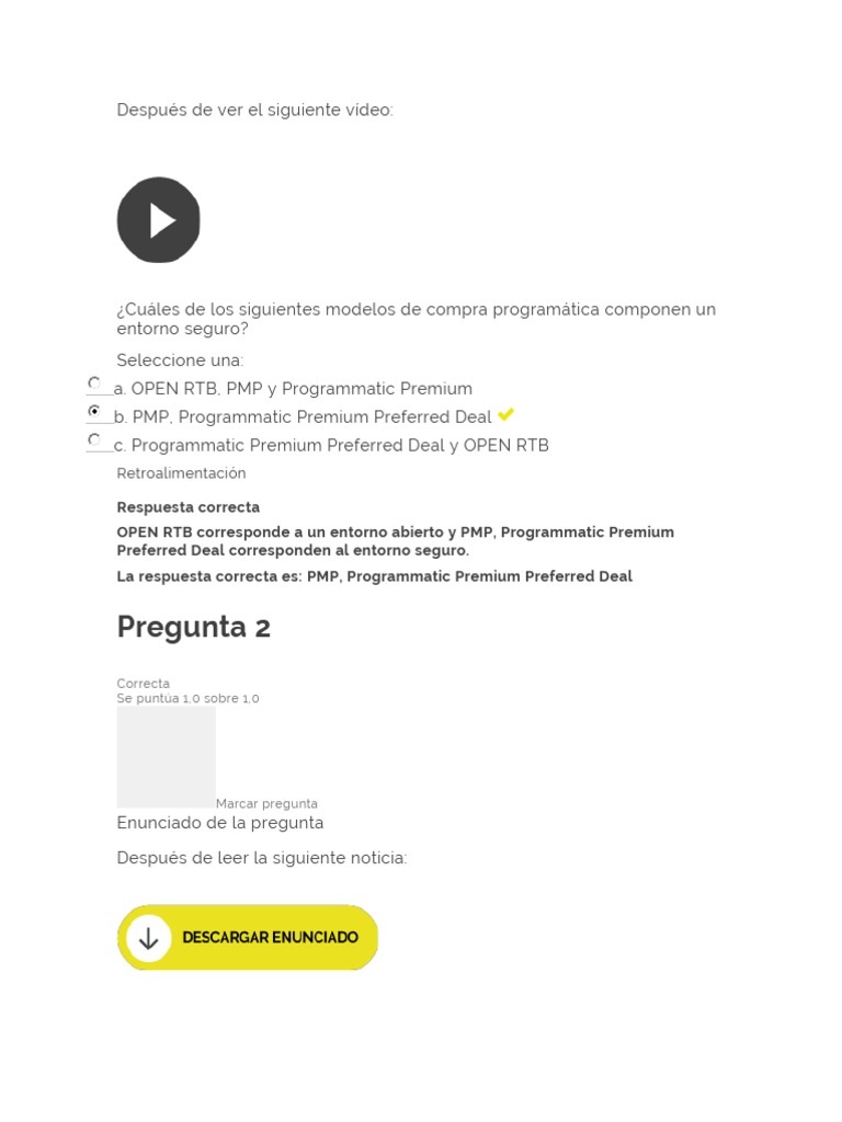 Compra Programatica 1 | PDF | Publicidad | Subasta