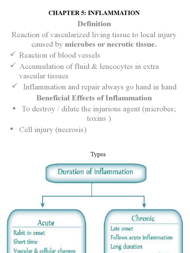 CHAPTER 5 Inflammation | PDF | Inflammation | Macrophage