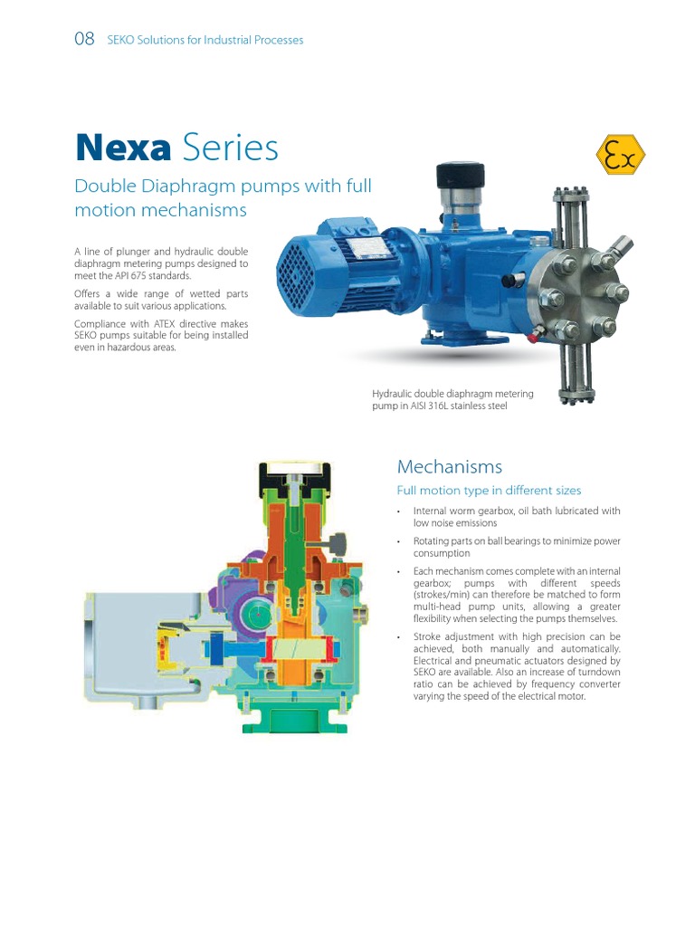 Nexa Process API 675 Chemical Injection Pumps - Seko | PDF | Valve | Pump