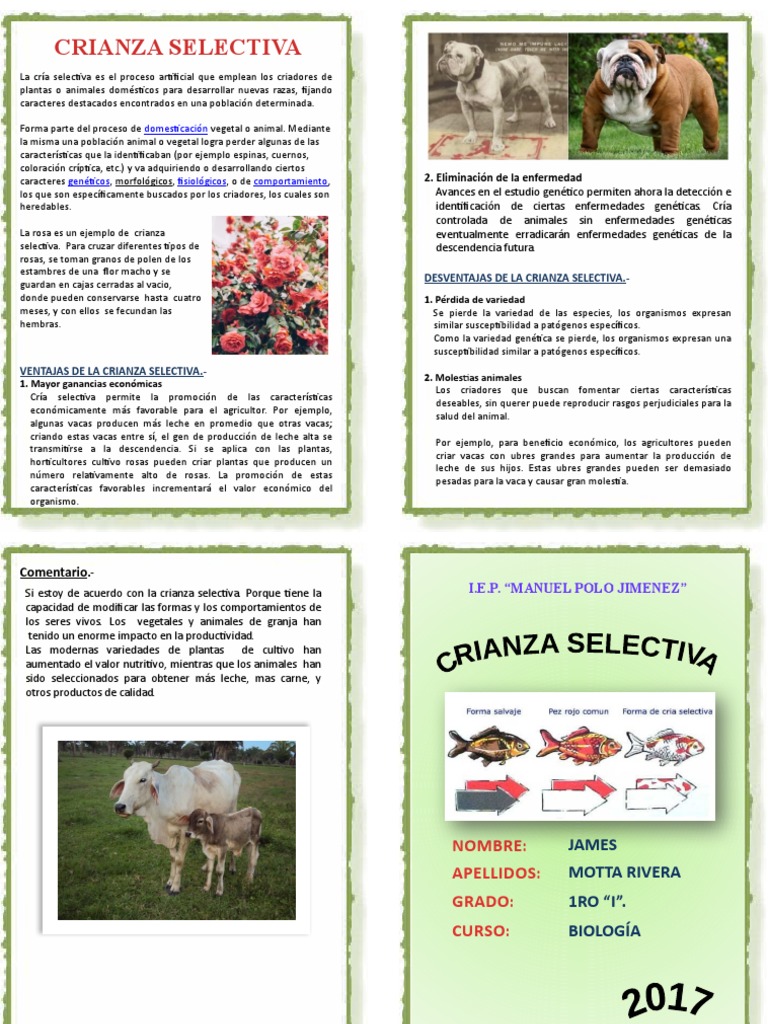 Ventajas y desventajas de la cría selectiva | PDF | Crianza selectiva ...