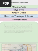 Cellular Communication and Signaling Key | PDF | Cell Signaling ...