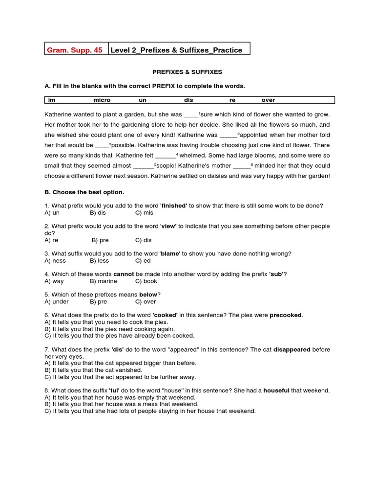 Gram. Supp. 45 - Level 2 - Prefixes & Suffixes - Practice | PDF ...