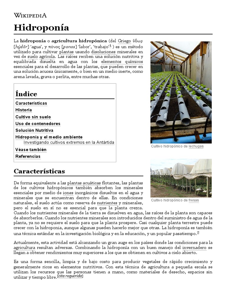 Hidroponía - Wikipedia, La Enciclopedia Libre | PDF | Hidroponia ...