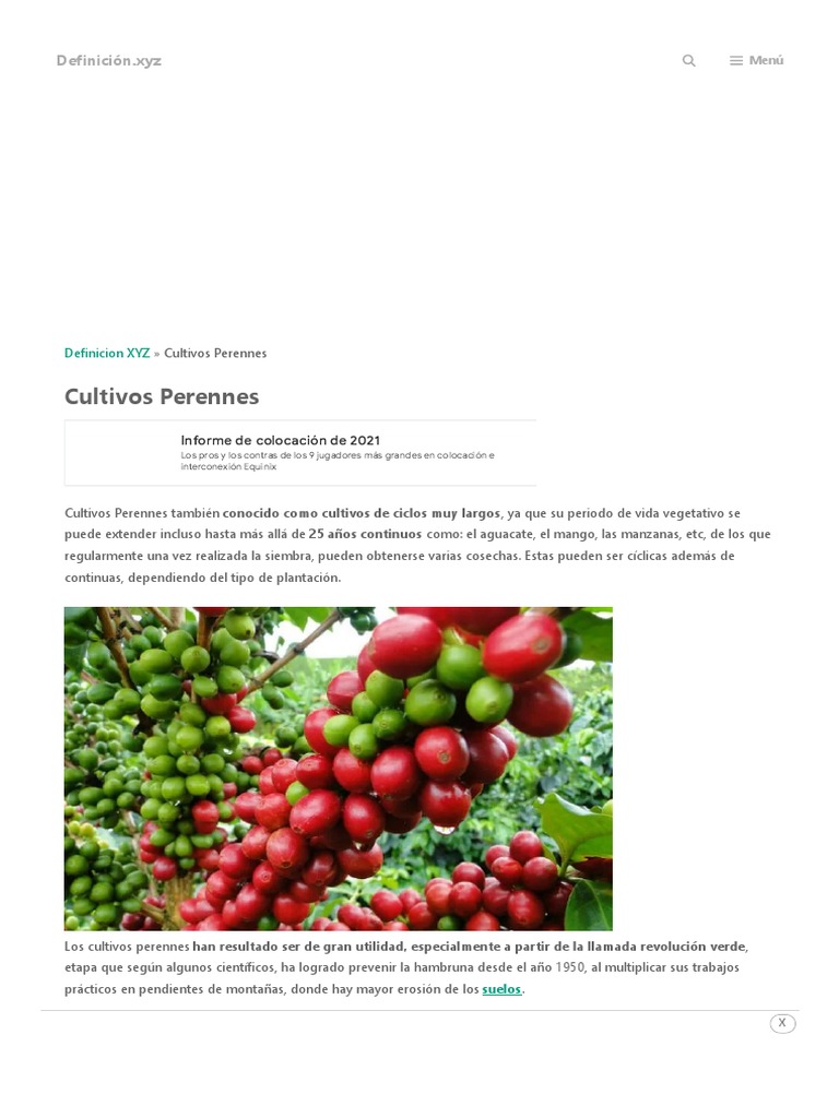 ¿Qué Es Cultivos Perennes - Su Definición Y Significado (2022) | PDF ...