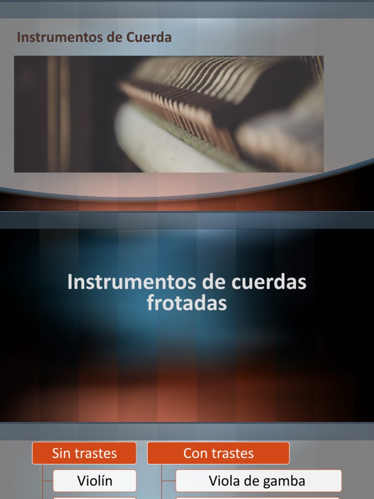 Instrumentos de Cuerda | PDF