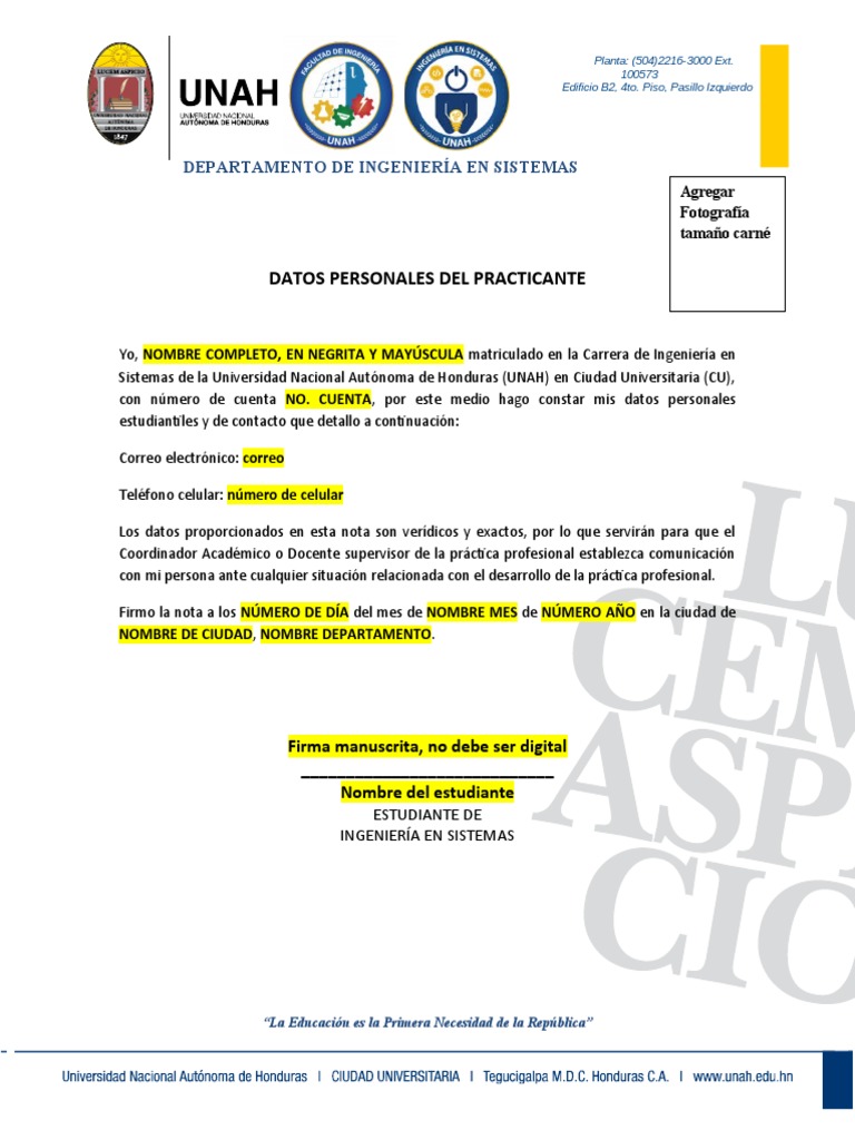 1) Datos de Practicante | PDF