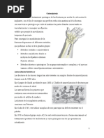 Placa Philos Técnica Cirúrgica | PDF | Tornillo | Cirugía