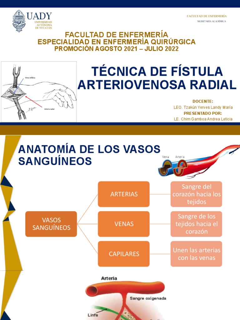 FAVI | PDF | Artería | Vena