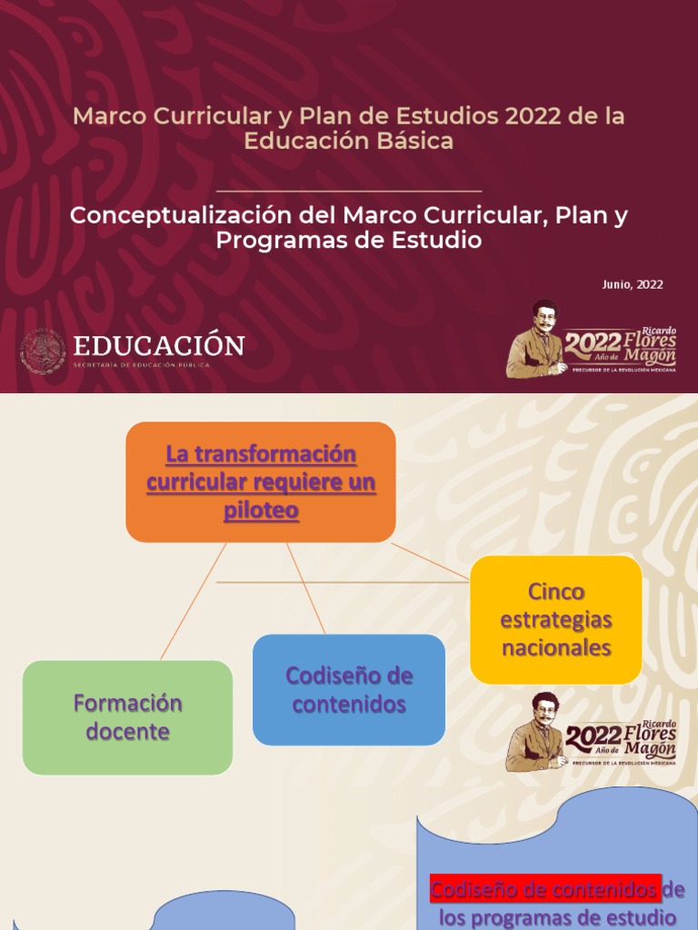 Marco Curricular 2022 Educación Básica | PDF