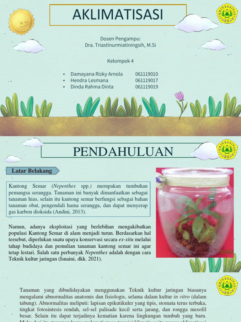 Aklimatisasi Kultur Jaringan - Kelompok 4 | PDF