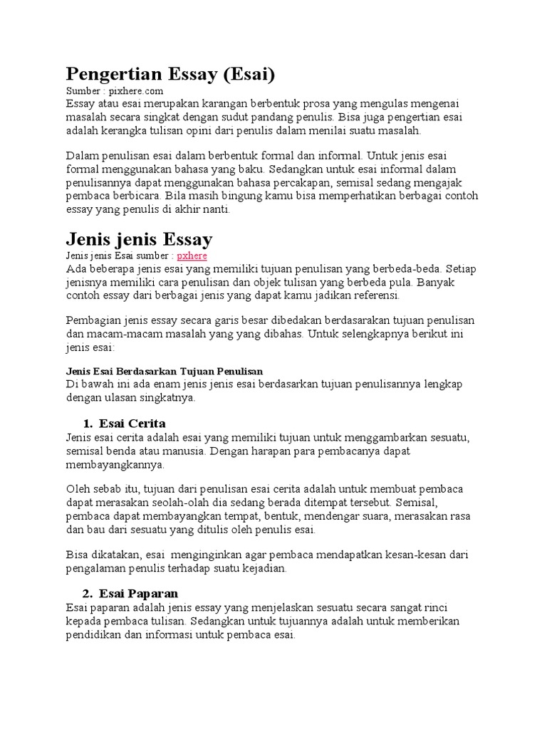 Panduan Lengkap Menulis Esai | PDF | Fiksi Umum