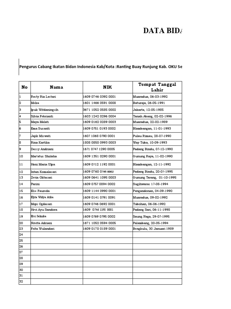 Data Bidan Fasyankes BR-1-2 | PDF