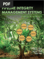 DNVGL-RP-F116 2017-05 - Integrity Management of Submarine Pipeline Systems 189.PDF - TOAZ - Info ...