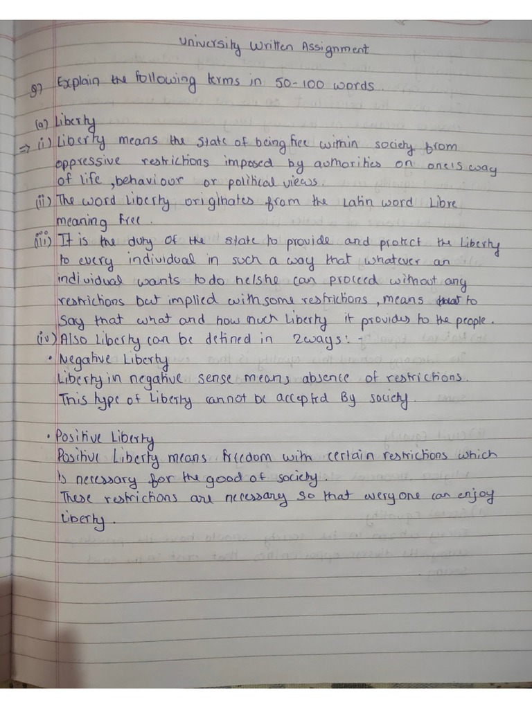 Democracy Written Assignment | PDF