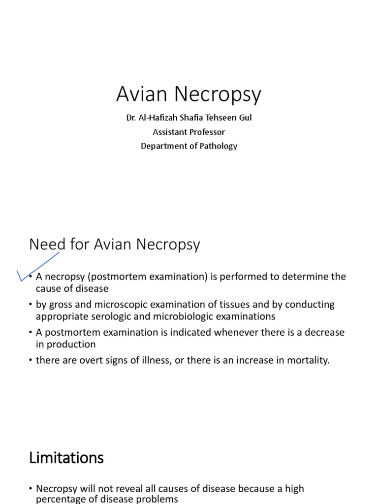 Avian Necropsy | PDF | Autopsy | Birds