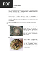 Equal and Equivalent Sets Worksheet | PDF | Mathematics | Mathematical ...