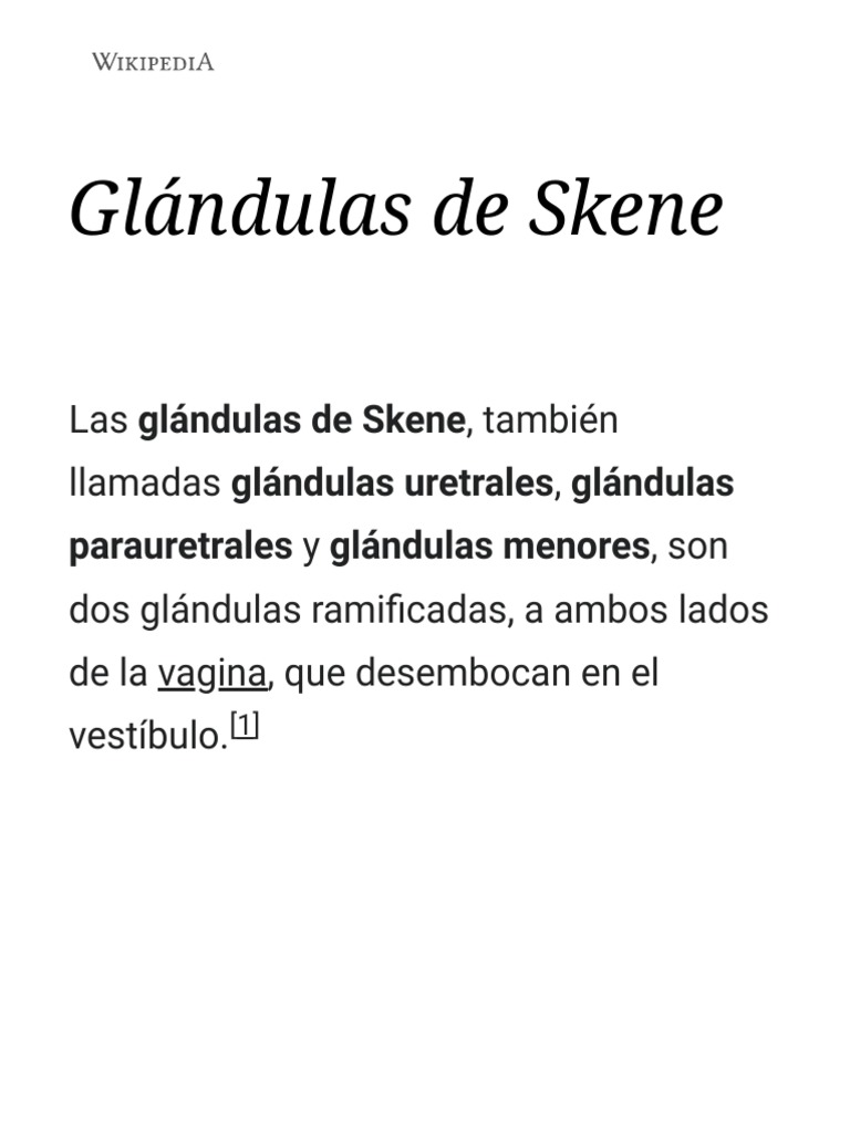 Glándulas de Skene - Wikipedia, La Enciclopedia Libre | PDF | Ciencia y ...