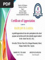 Certificate For SSG Officers | PDF