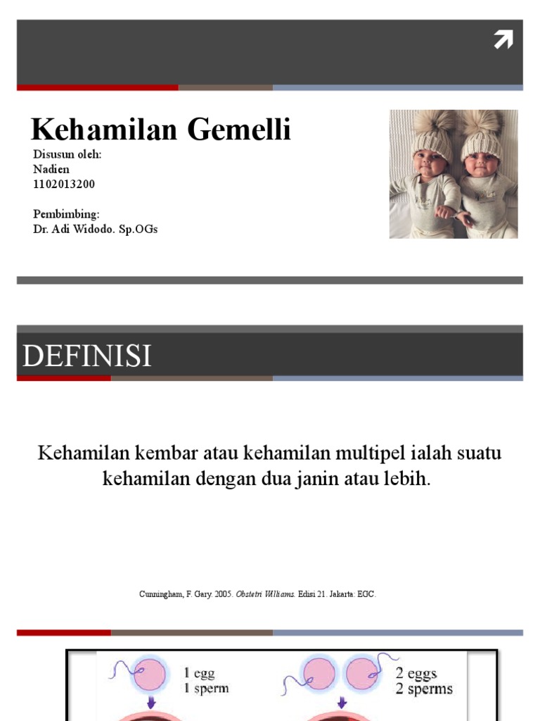 Gemelli | PDF