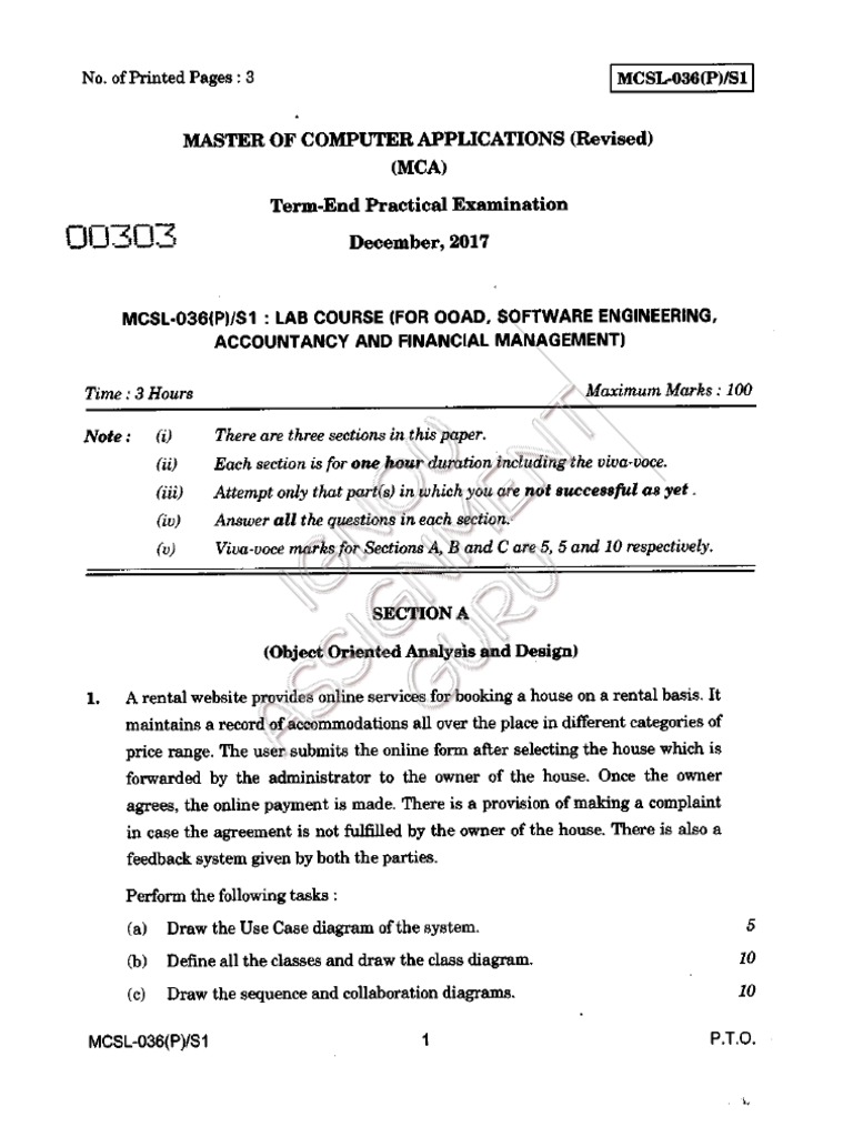 MCA Lab Exam: Software & Finance | PDF | Business | Computing