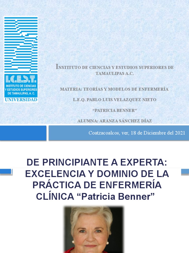 Patricia Benner | PDF | Enfermería | Medicina