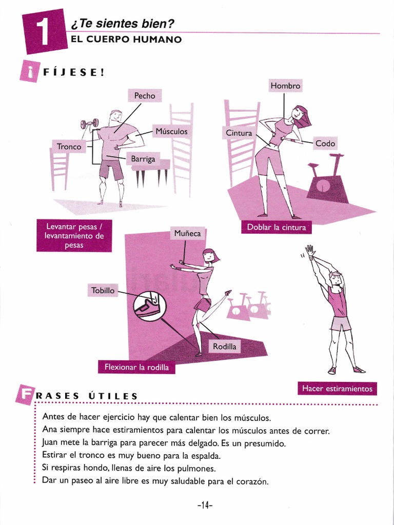 Vocabulario A2-B1 Unit 1 | PDF | Anatomía humana | Anatomía