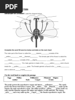 Grade 9 Human Reproduction Worksheet | PDF | Birth Control ...