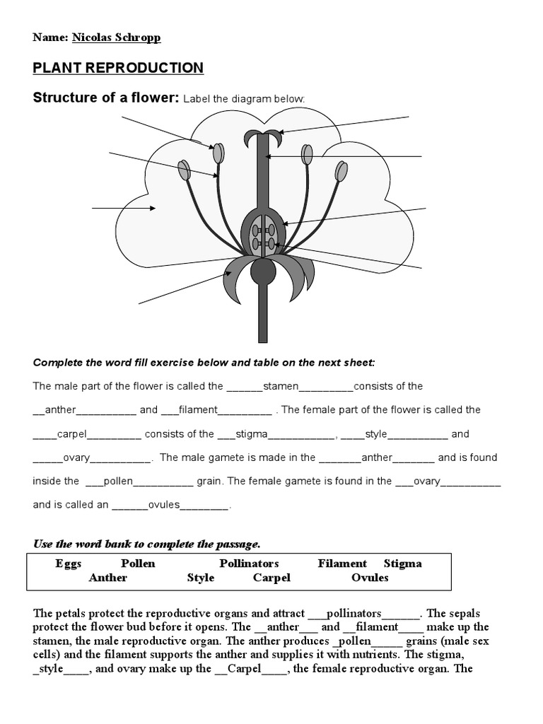 Flower Structure and Pollination Methods | PDF | Flowers | Pollination