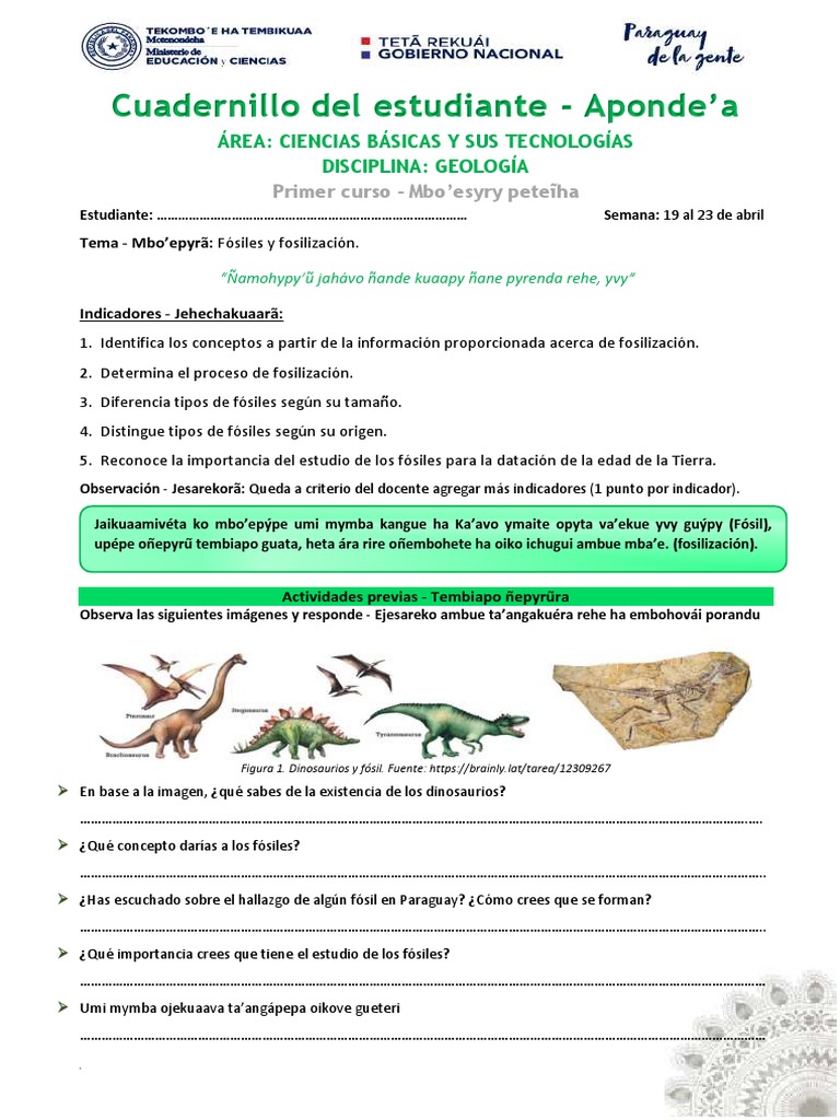 Geología Fósiles y Fosilización. Estudiantes | PDF | Fósil | Roca ...