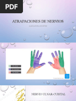 Mapa de Dermatomas y Lesiones Nerviosas | PDF | Mano | Nervio