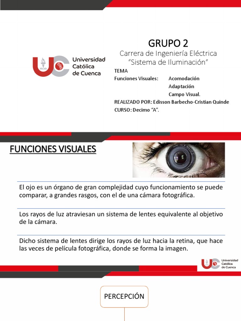 GRUPO 2 Funciones Visuales | PDF | Ojo humano | Percepción visual