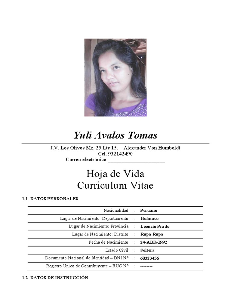 CV Yuli | PDF