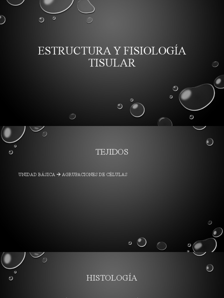 Estructura y Fisiología Tisular | PDF | Epitelio | Tejido conectivo