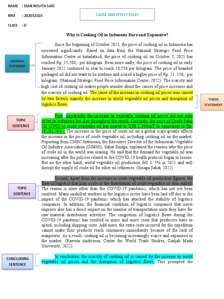 Dian Novita Sari (202032103) - Cause and Effect Essay | PDF | Petroleum ...