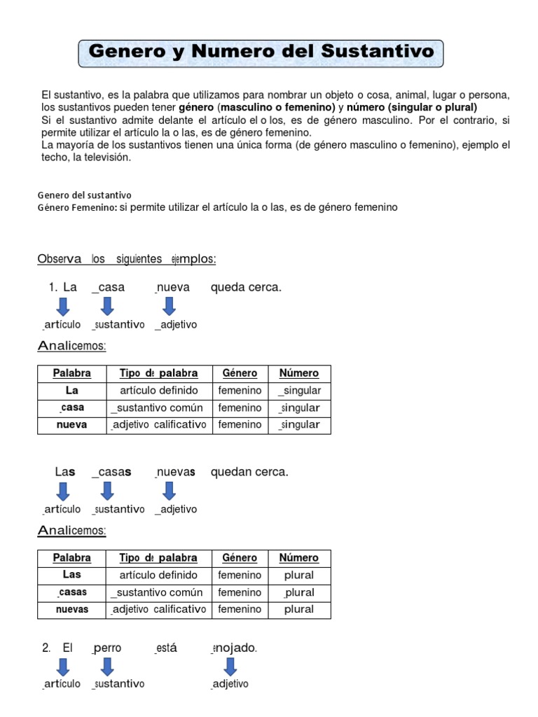 Guia 1 Genero y Numero | PDF | Género gramatical | Numero Gramatical