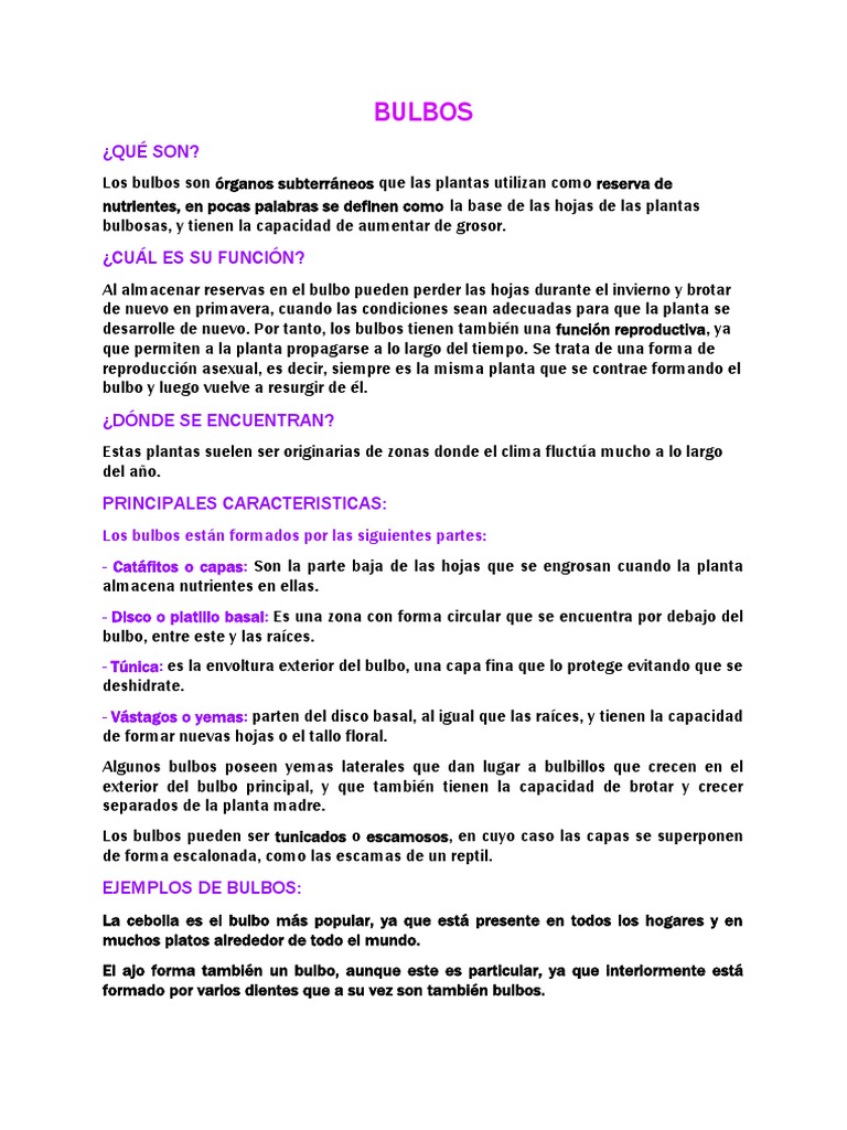 Información Biología Bulbos | PDF | Ciencia y matemáticas