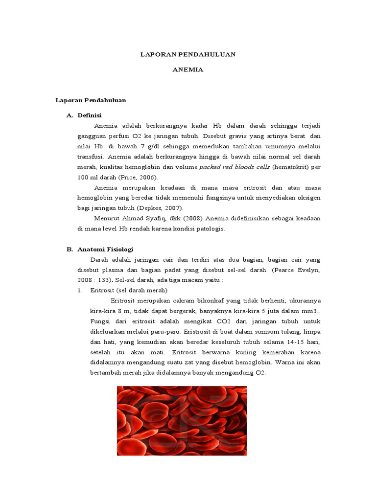Laporan Pendahuluan Anemia | PDF | Perjalanan | Sains & Matematika