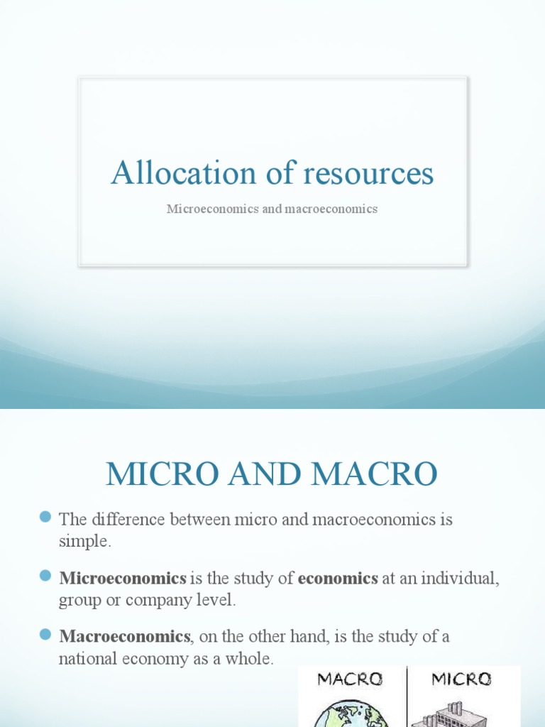 IGCSE Economics Chapter 5 Macro and Micro | PDF
