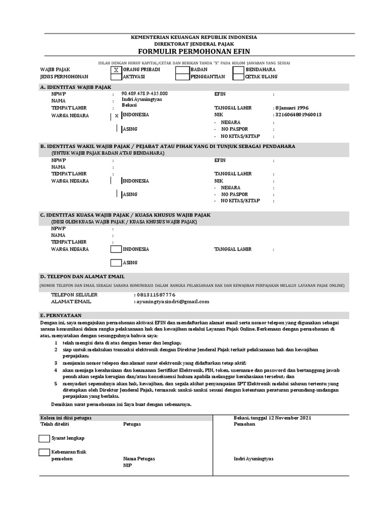 Form Permohonan EFIN (PDF Isian) | PDF